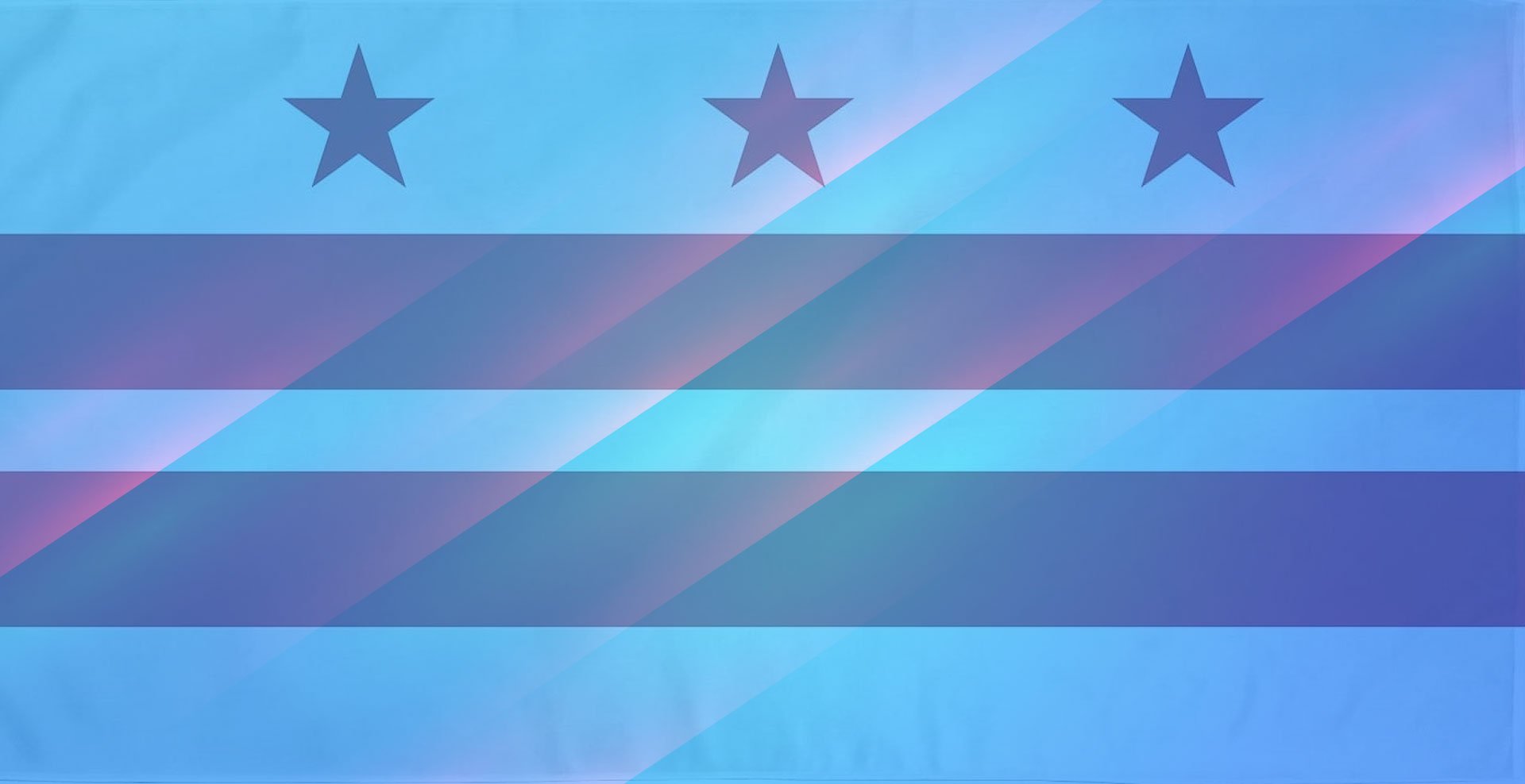 NAIFA-Greater Washington DC State Board 2025